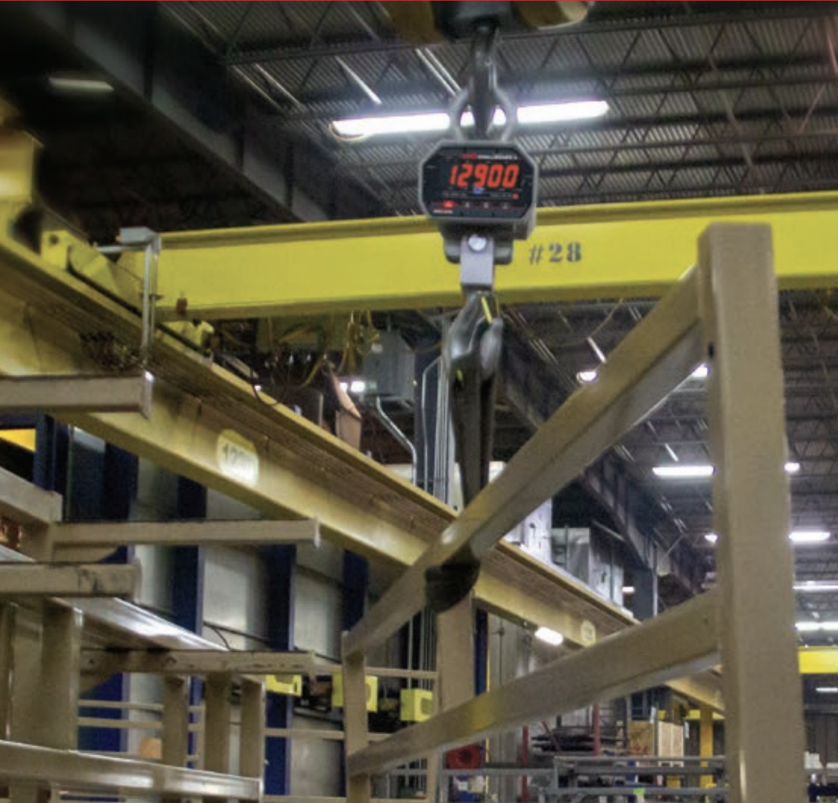 Crane Scales 101 - DQPlus.com